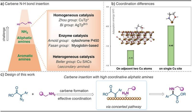 Angewandte Chemie International Edition Publishes ECUST Latest Research ...