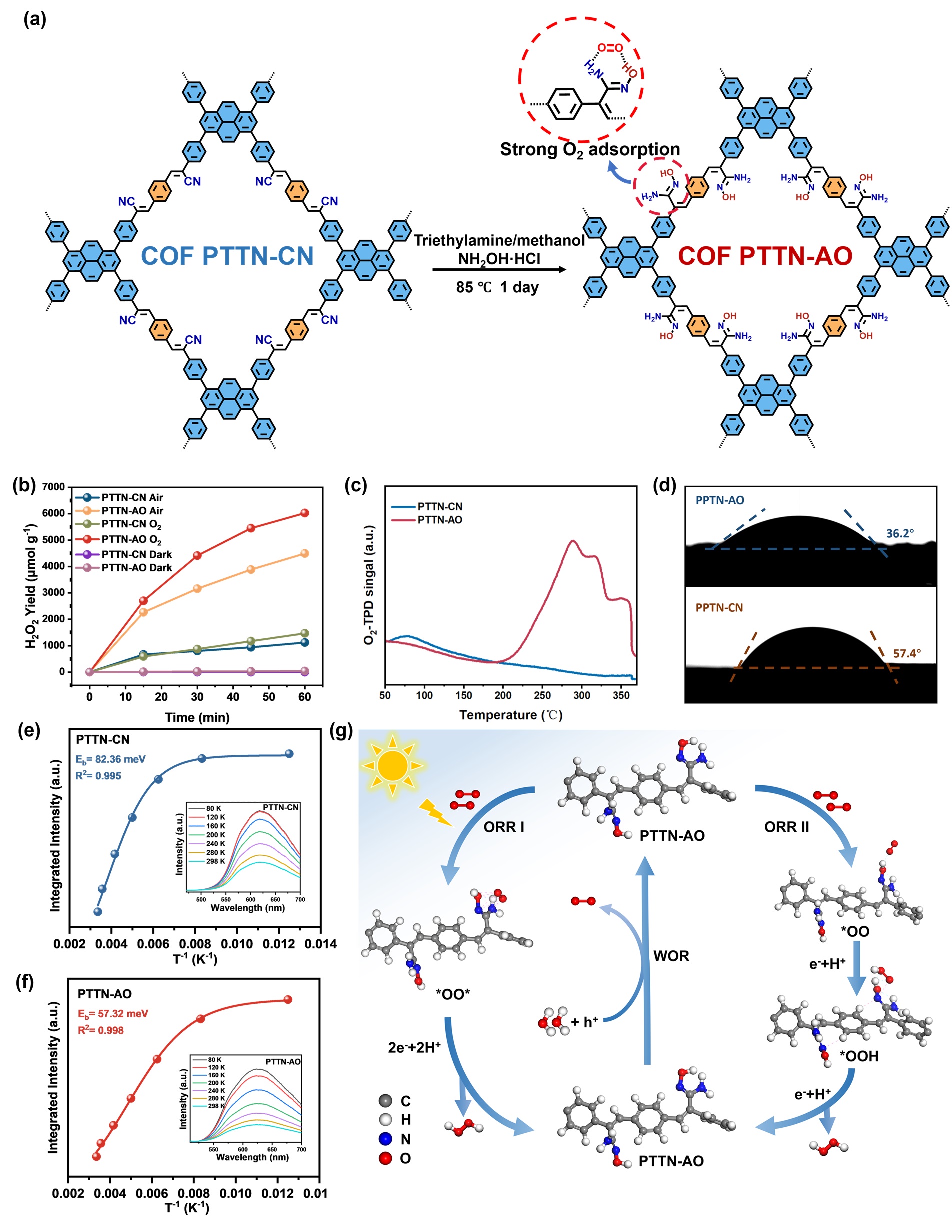 【创新前沿】Advanced Science 和 Applied Catalysis B: Environmental 报道我校氢键网络调控的COFs光催化绿色合成过氧化氢和固氮性能研究进展