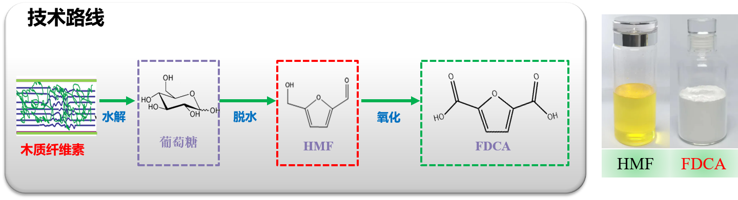【工博会专递】华理这项技术让秸秆变废为宝