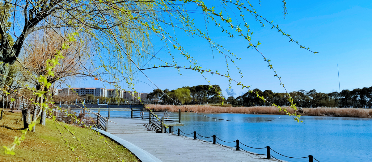 华东理工大学英文网