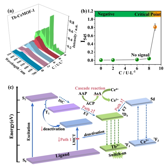 《上海科技报》华东理工大学荧光诊断探针领域研究获进展