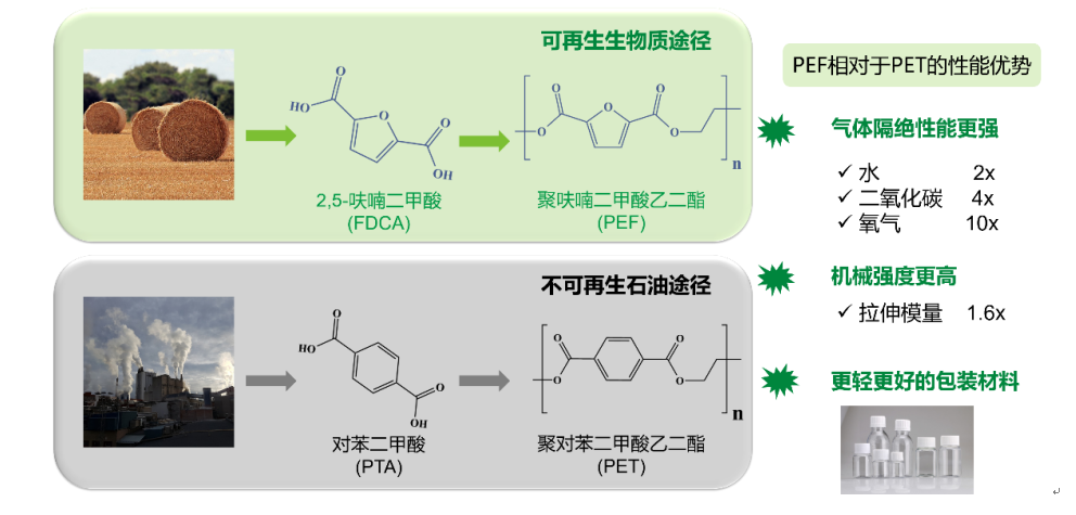 【工博会专递】华理这项技术让秸秆变废为宝