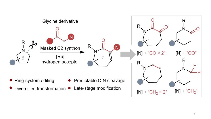Nature Chemistry Publishes ECUST New Advances in Ring-Expansion ...