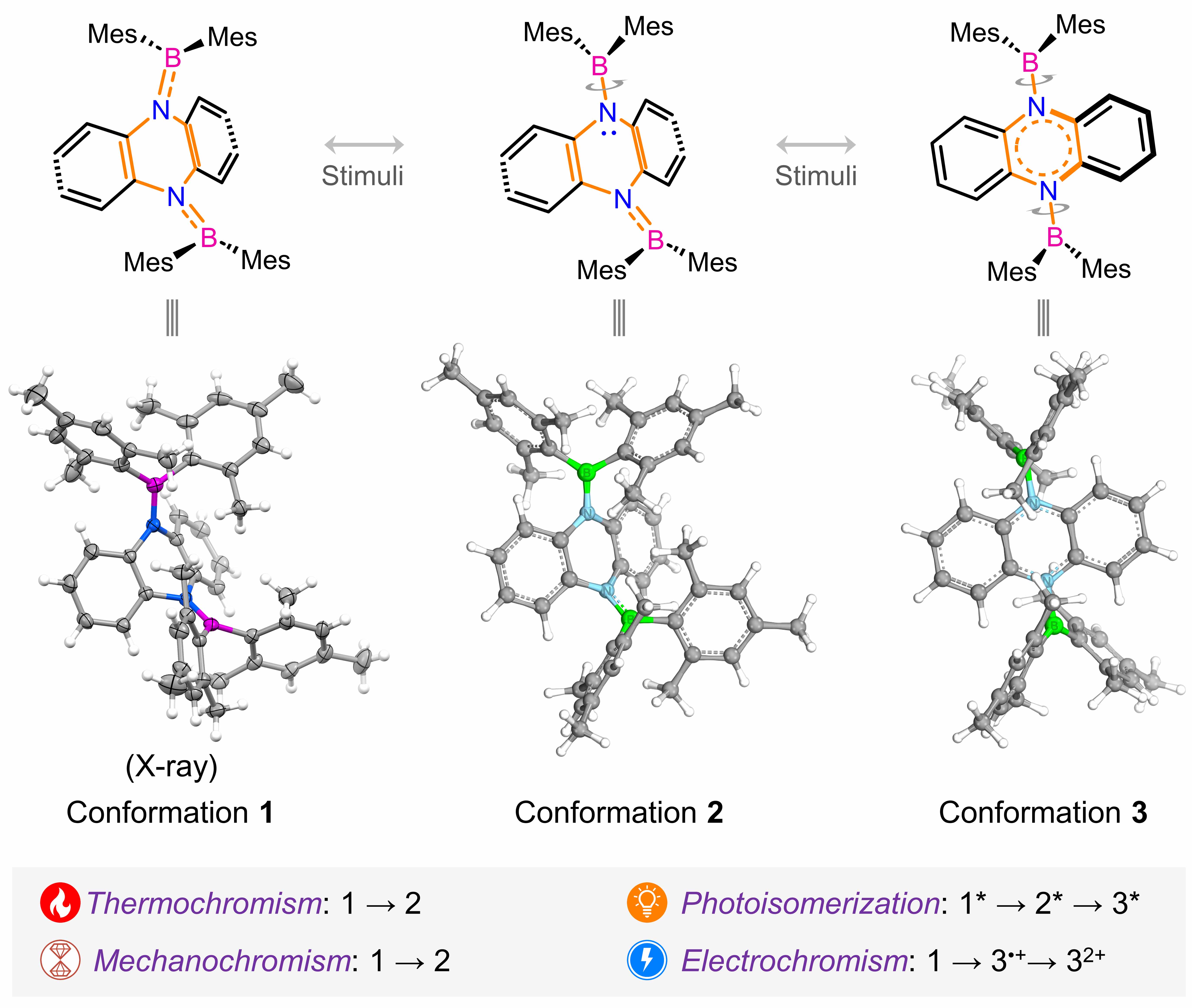 【创新前沿】Angewandte Chemie Novit 报道我校振动诱导发光动态响应新进展
