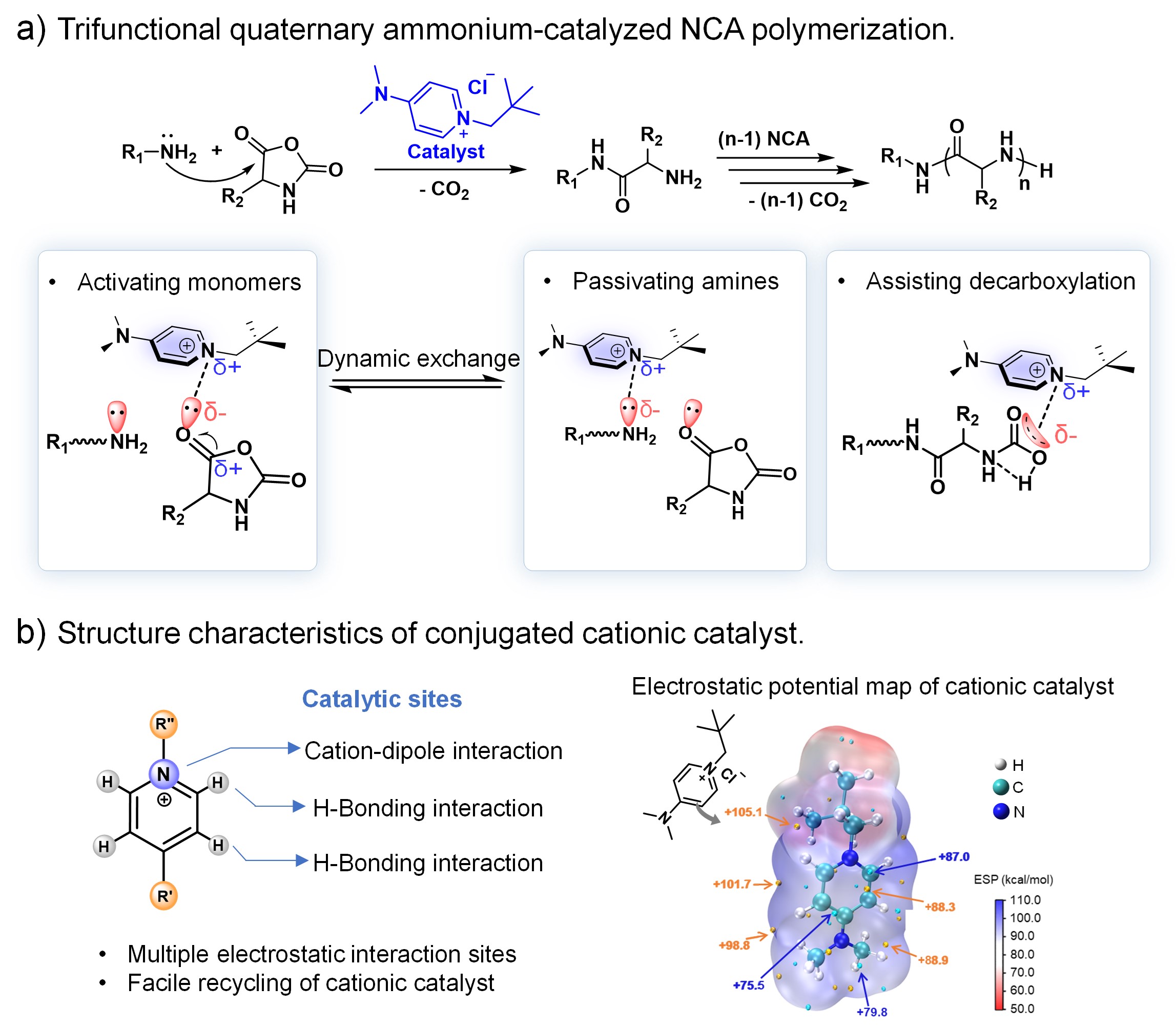 【创新前沿】ACS Central Science报道我校快速可控聚合制备多肽聚合物研究领域最新成果